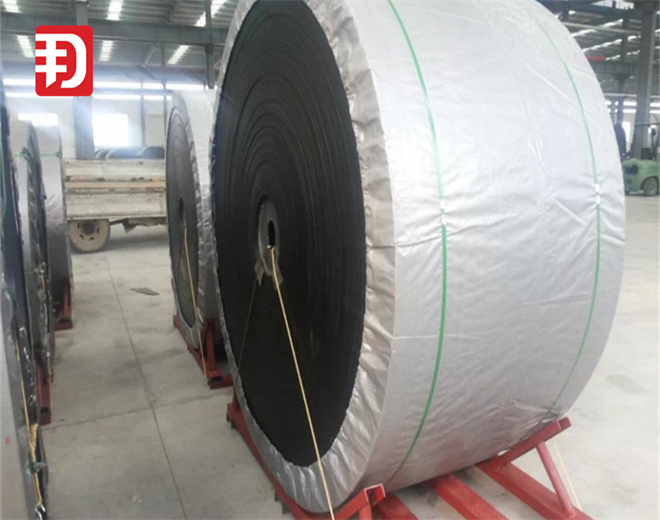 Conveyor belt from China Manufacturer - Xinxiang Dayong Vibration ...